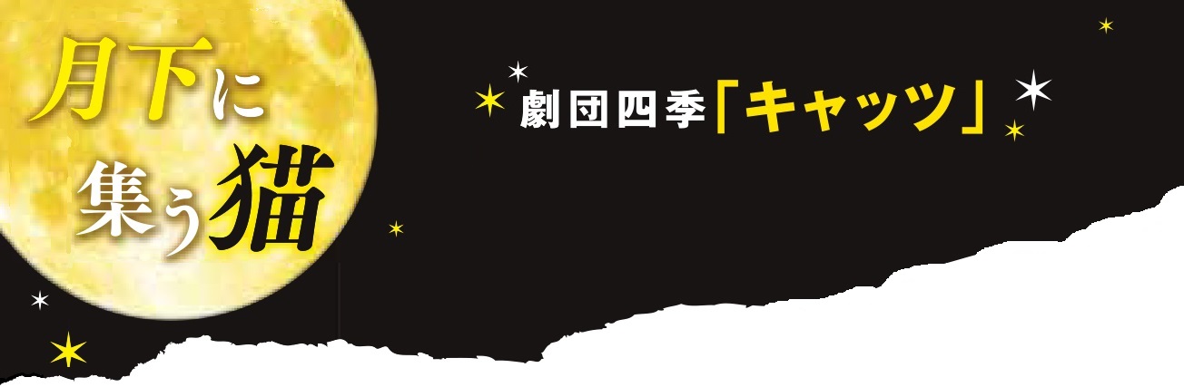 シラバブ／グリザベラ【劇団四季「キャッツ」 月下に集う猫⑬】｜静岡新聞DIGITAL 静岡県のニュース